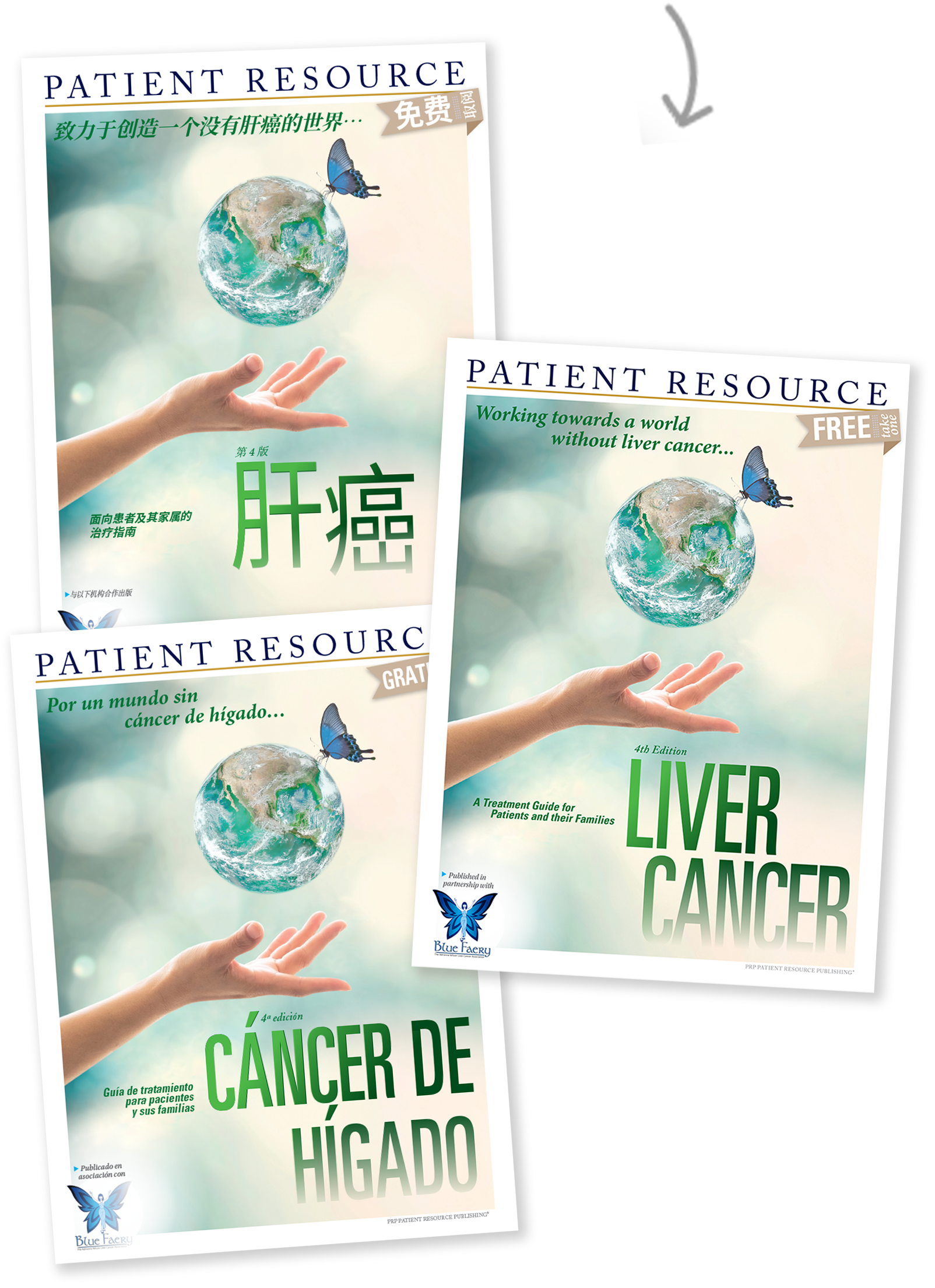 Liver Cancer Pathology Report